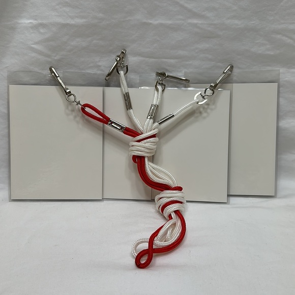 Coca Cola | Other | Disney On Ice Hercules 998 Vip Passes | Poshmark